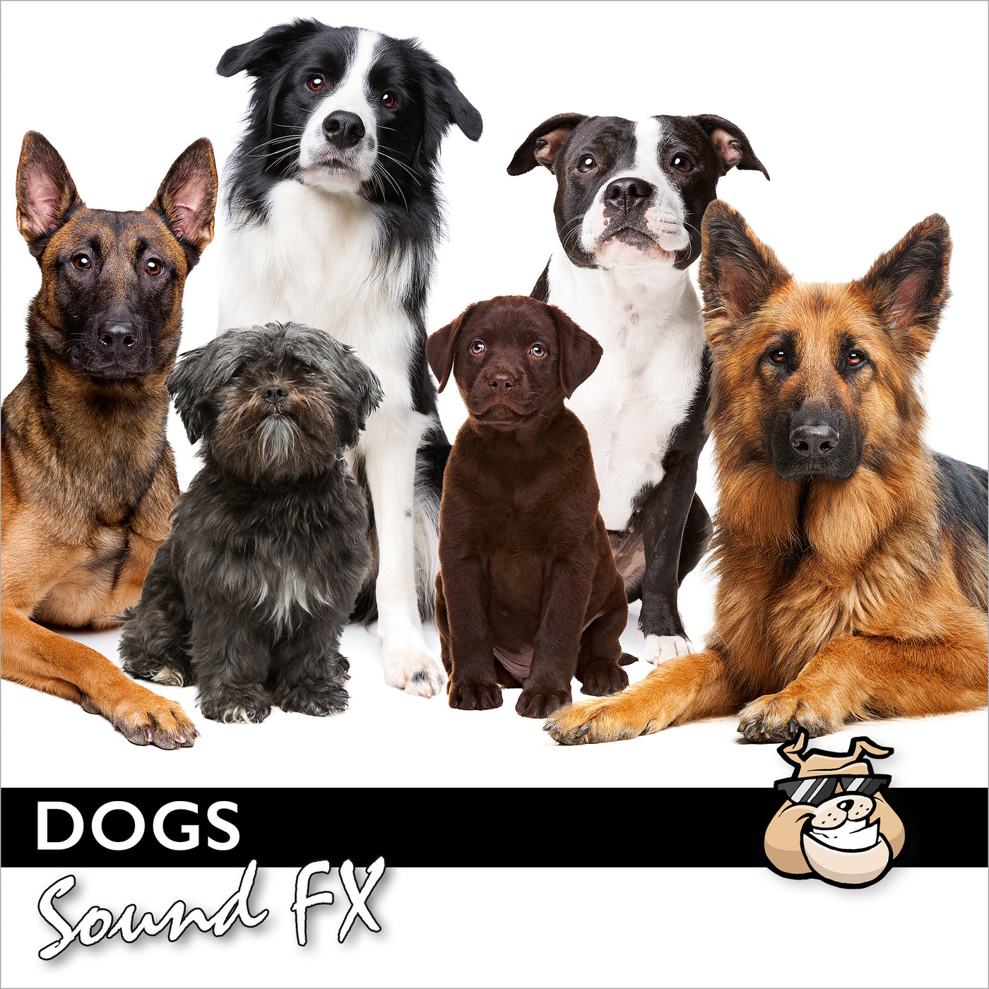 Dogs Sound FX | Sound Ideas