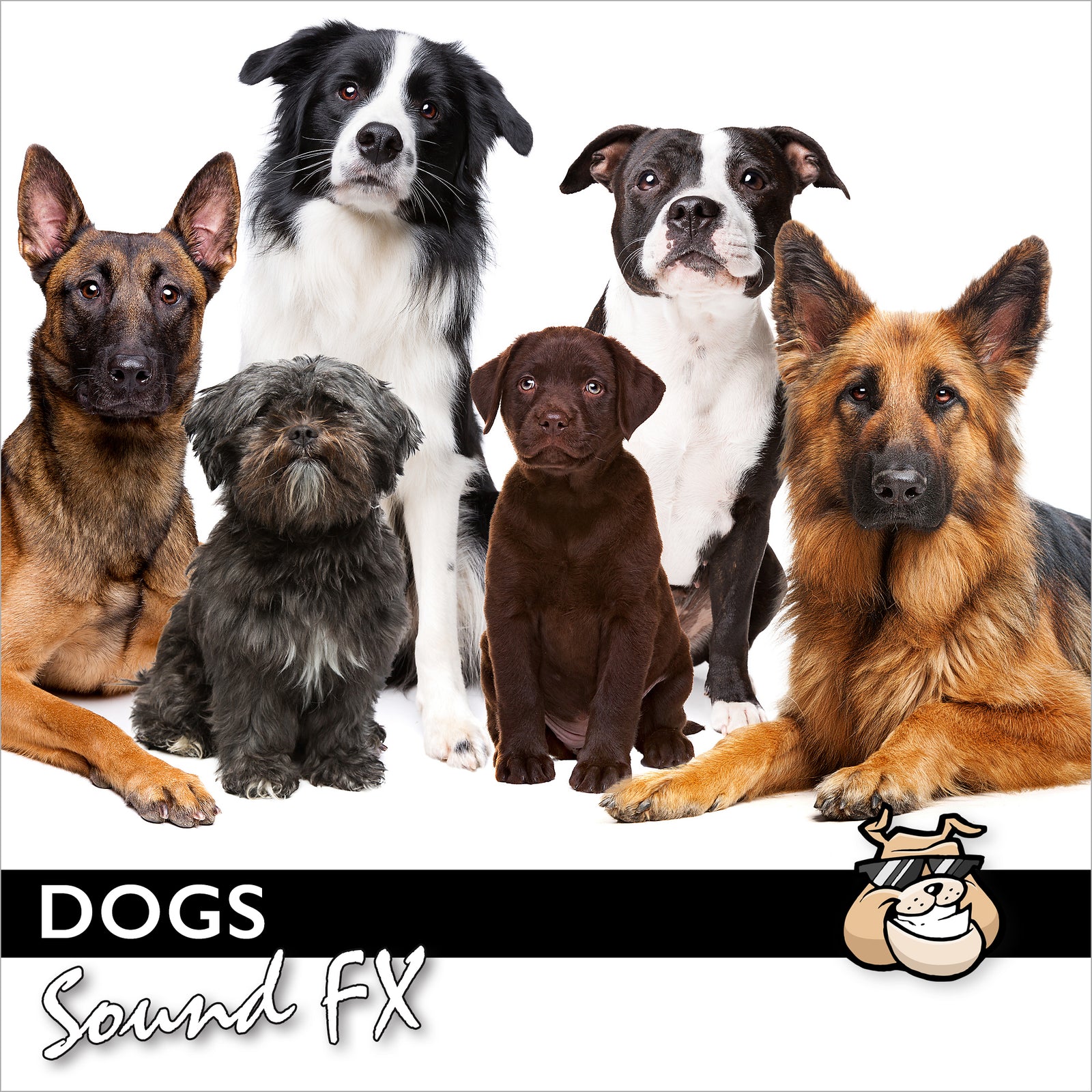 Dogs Sound FX | Sound Ideas