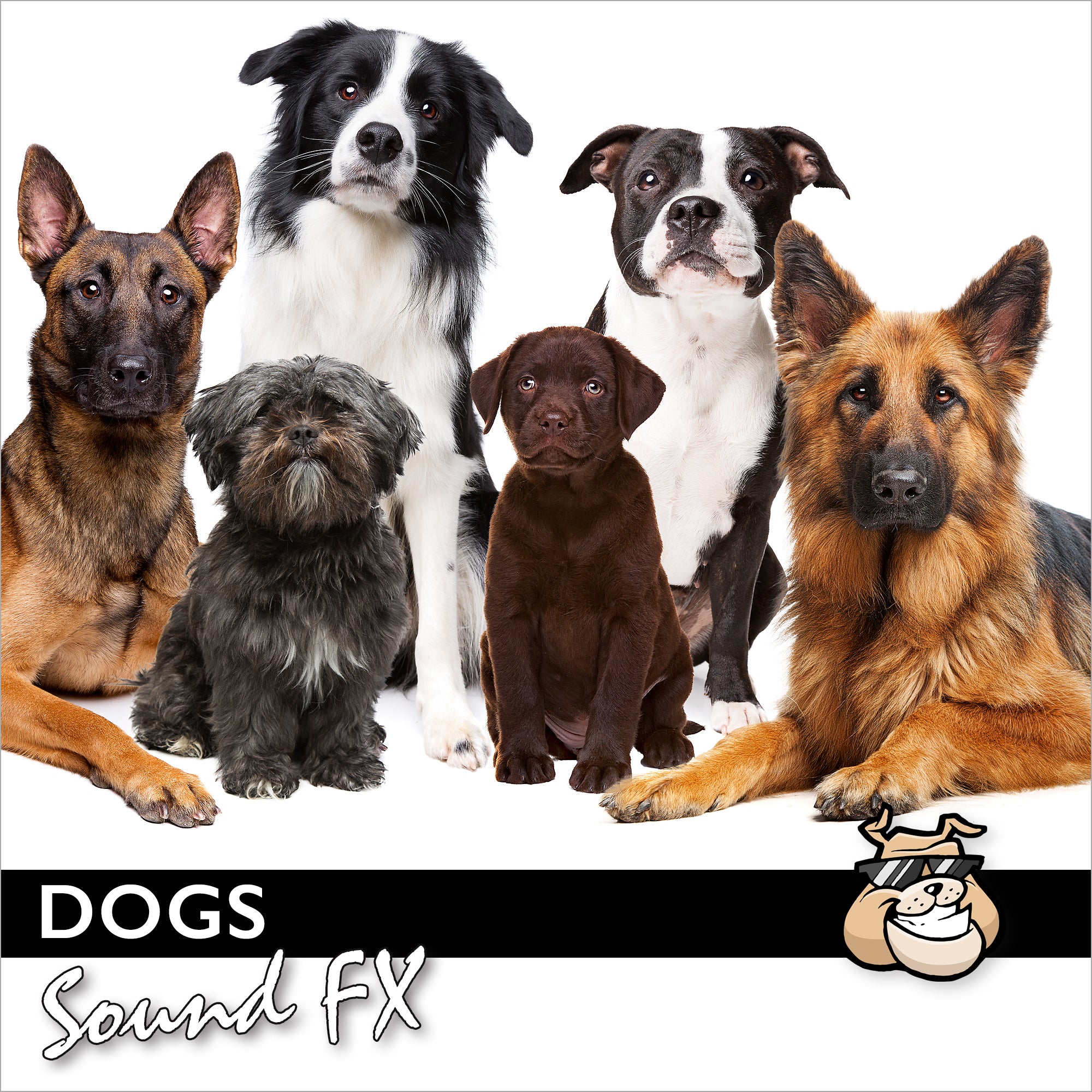 Dogs Sound FX | Sound Ideas