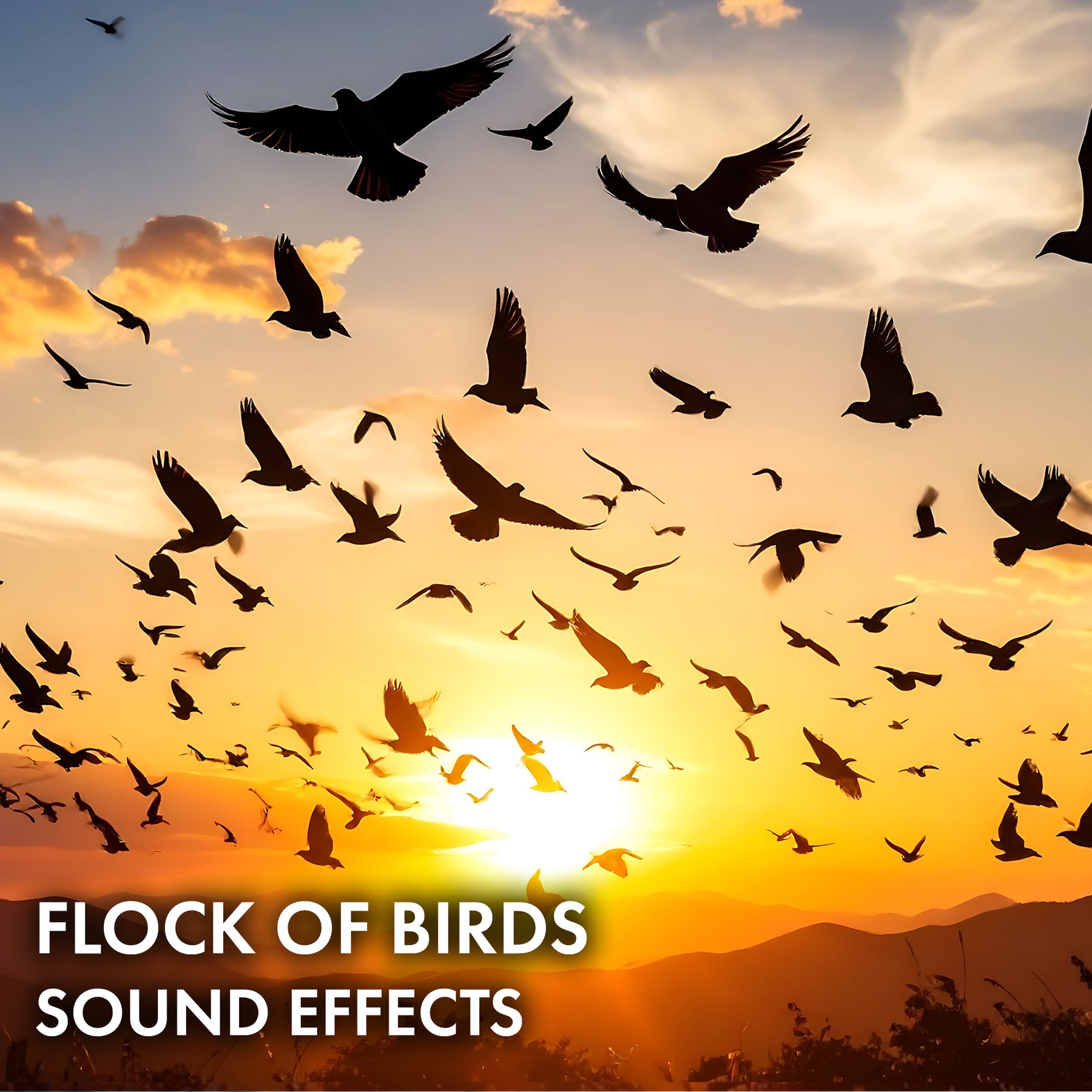 Sound Ideas: Sound Effects Library | Royalty Free Music