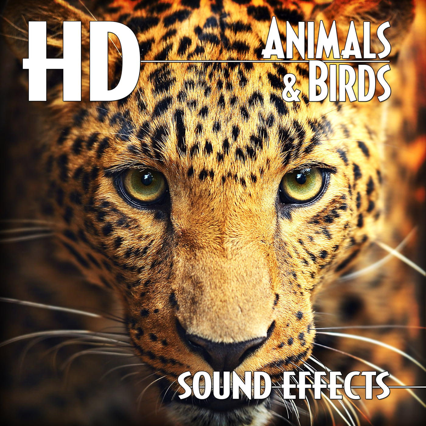 Animals & Bird Sound Effects