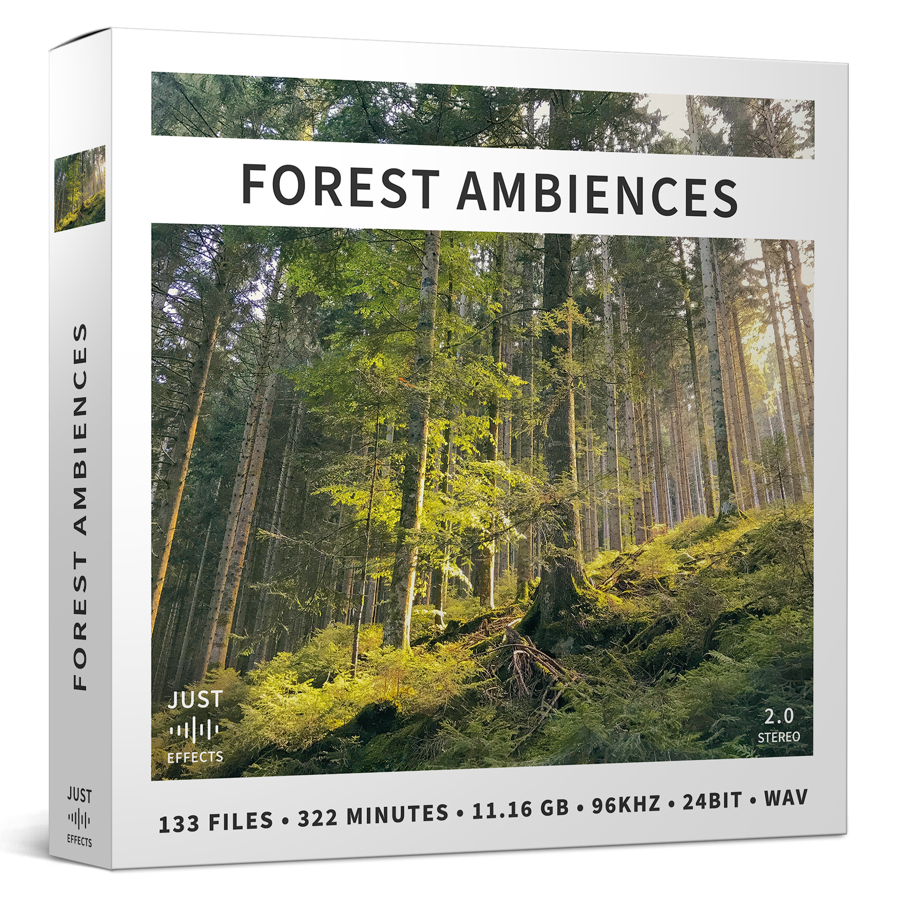 Forest Ambiences by Just Sound Effects | Sound Ideas