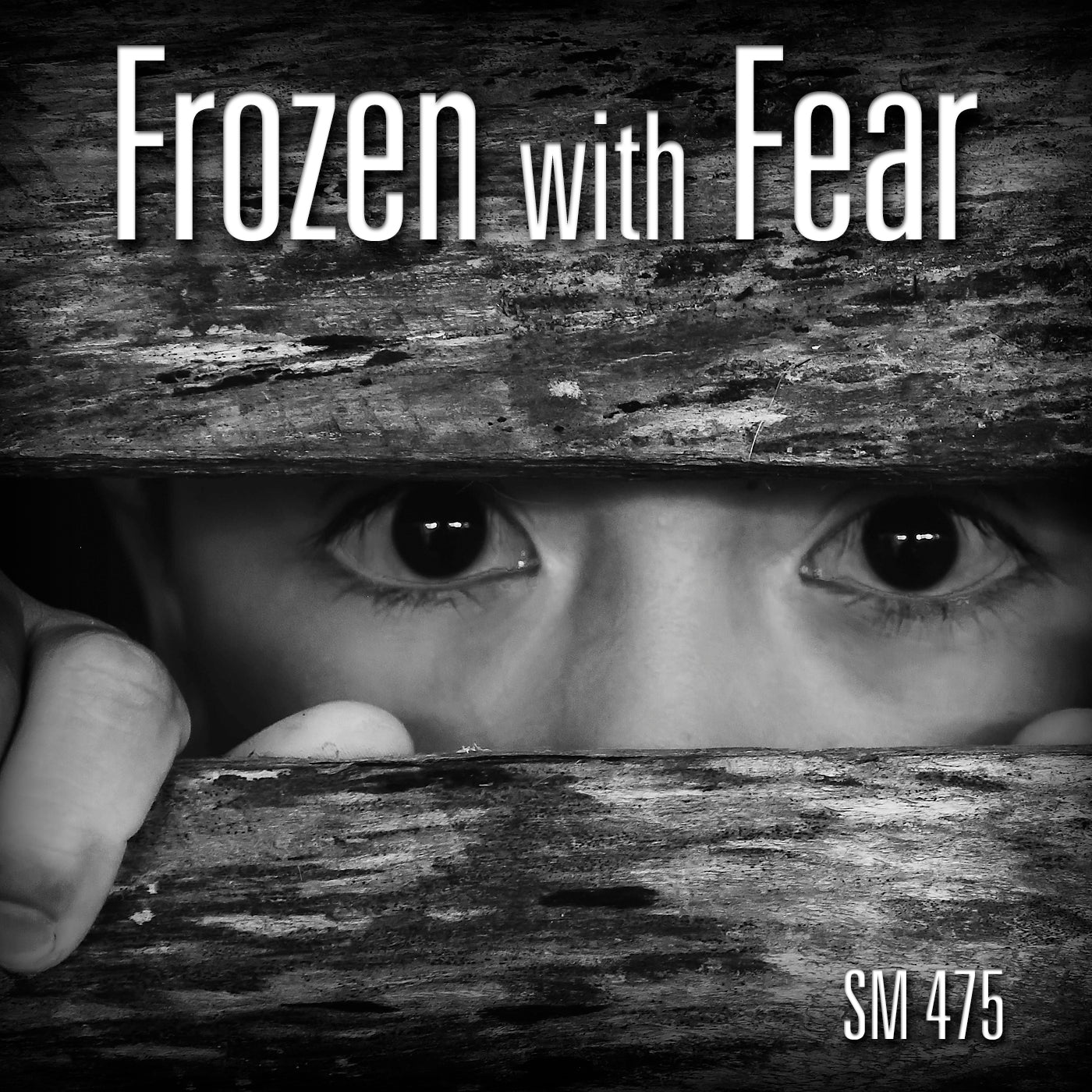 Frozen with Fear | Sound Ideas