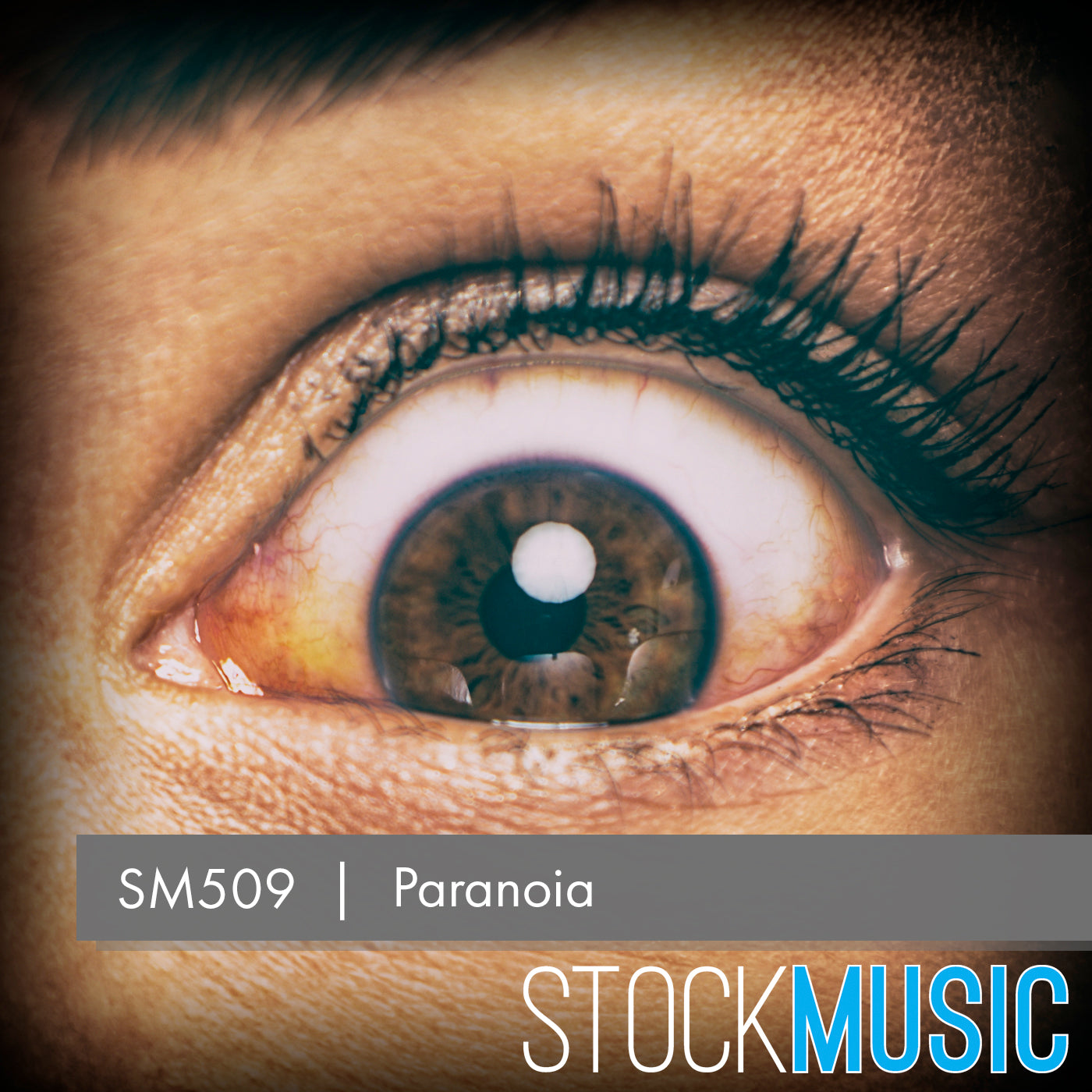 Paranoia Royalty Free Music Album | Sound Ideas