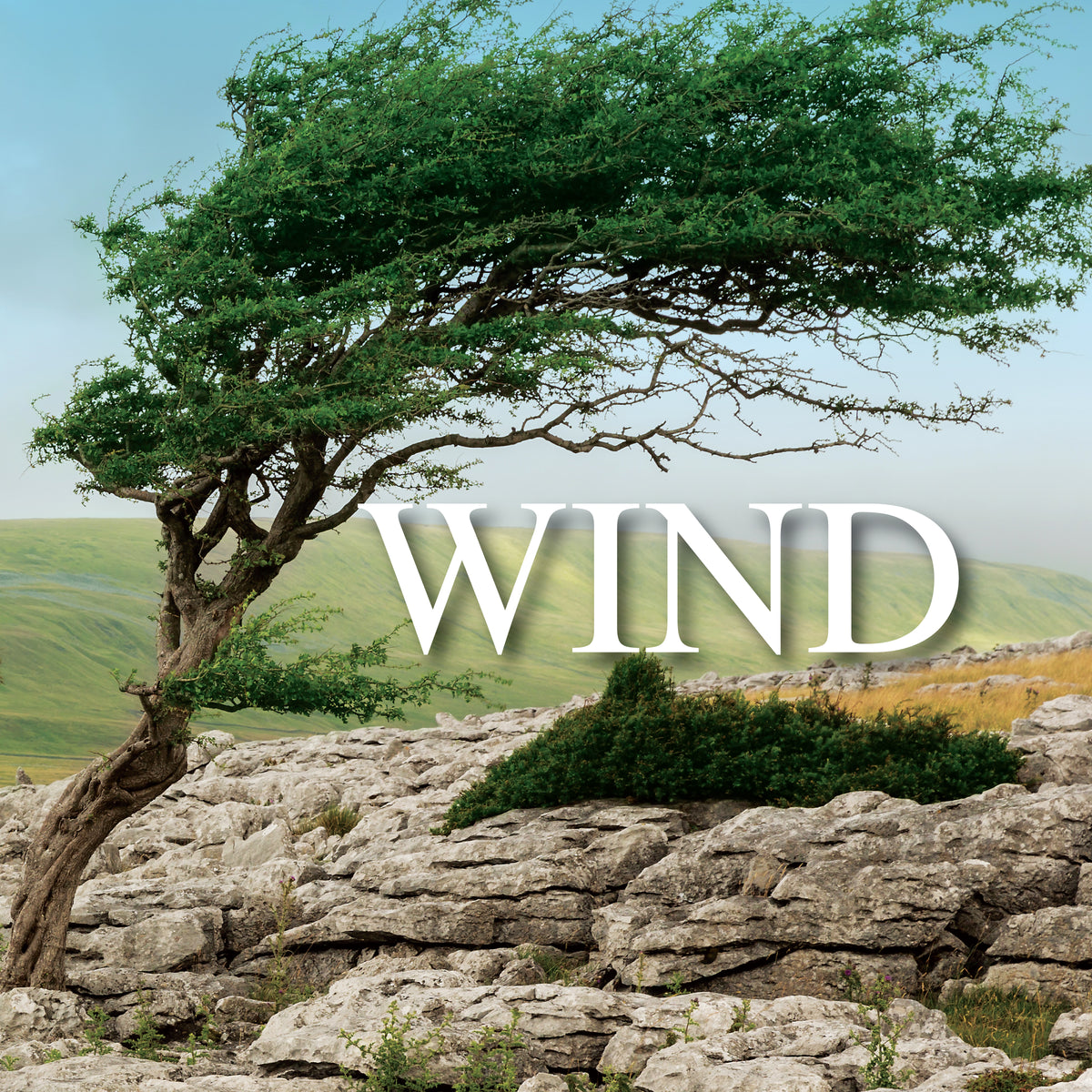 Wind Blowing Sound Effects
